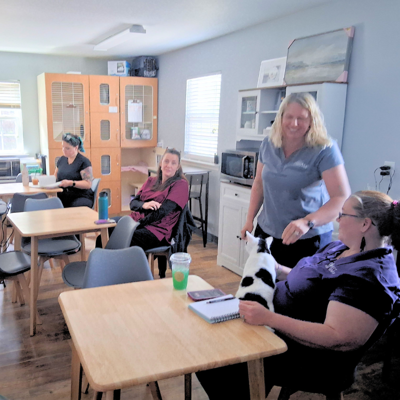 veterinary training | professional development